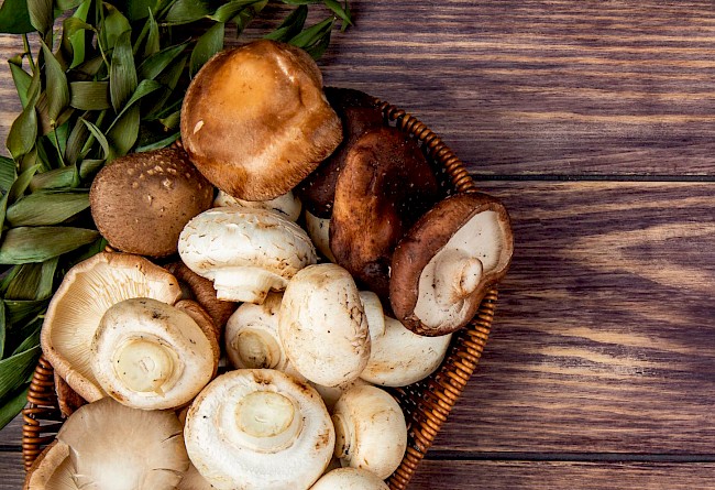 Mushrooms Calories and Nutrition (100g)