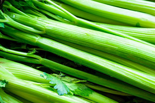 Celery Stalk Calories and Nutrition (100g)