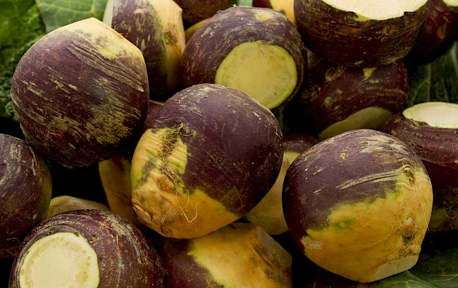 Rutabaga Calories and Nutrition (100g)