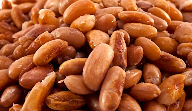 Cooked Pinto Beans Calories and Nutrition (100g)