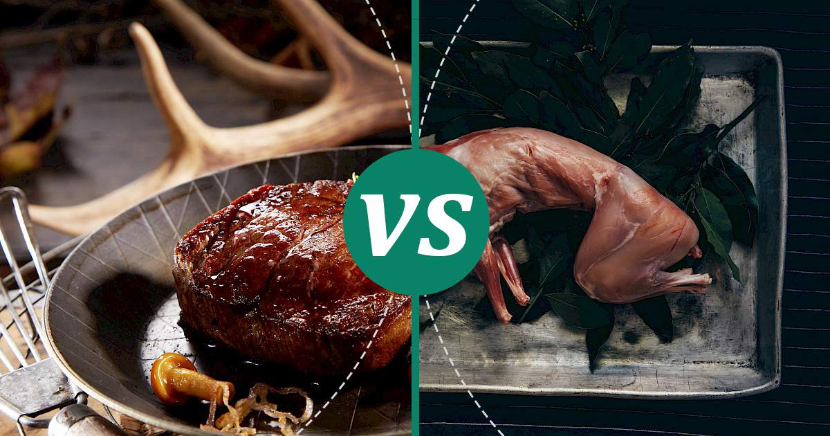 Rabbit vs Venison (Deer Meat): Nutrition & Calories Compare