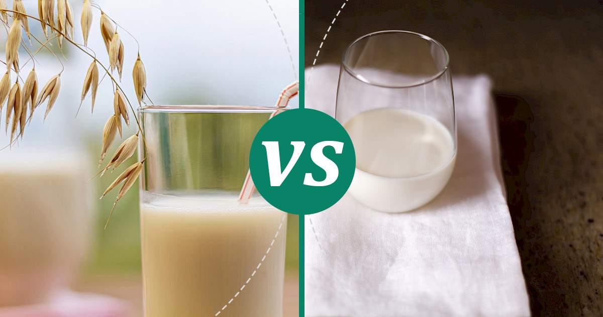 Goat Milk vs Oat Milk: Calories & Nutrition Showdown