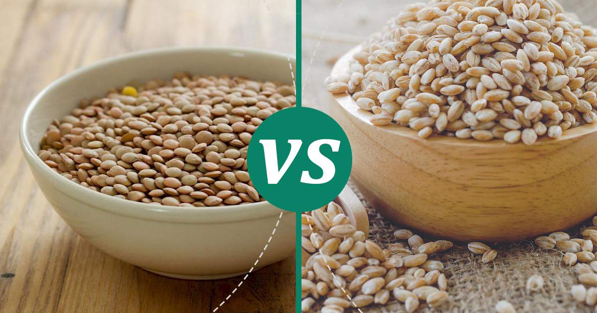 Barley vs Lentil: Nutrition, Calories & Protein Compared