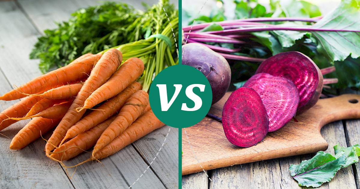 Beetroot vs Carrot: Nutrition Showdown