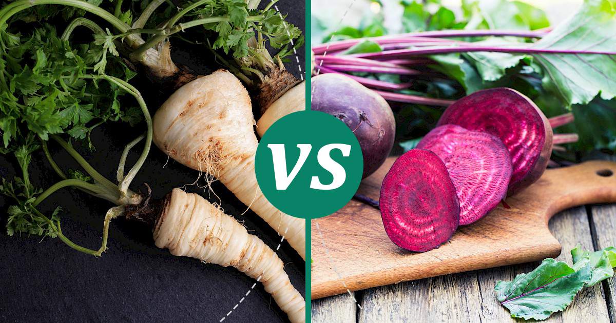 Beetroot vs Parsnips: Nutrition & Calories Compare