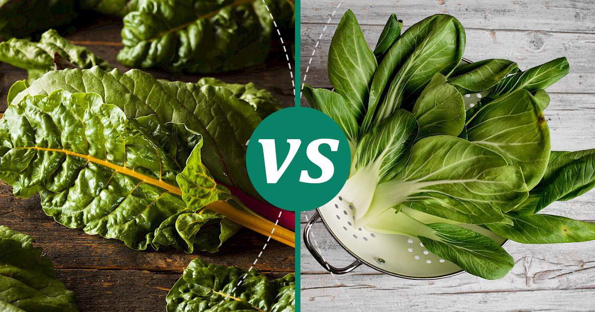 Bok Choy vs Chard: Nutrition, Calories & Protein Compared