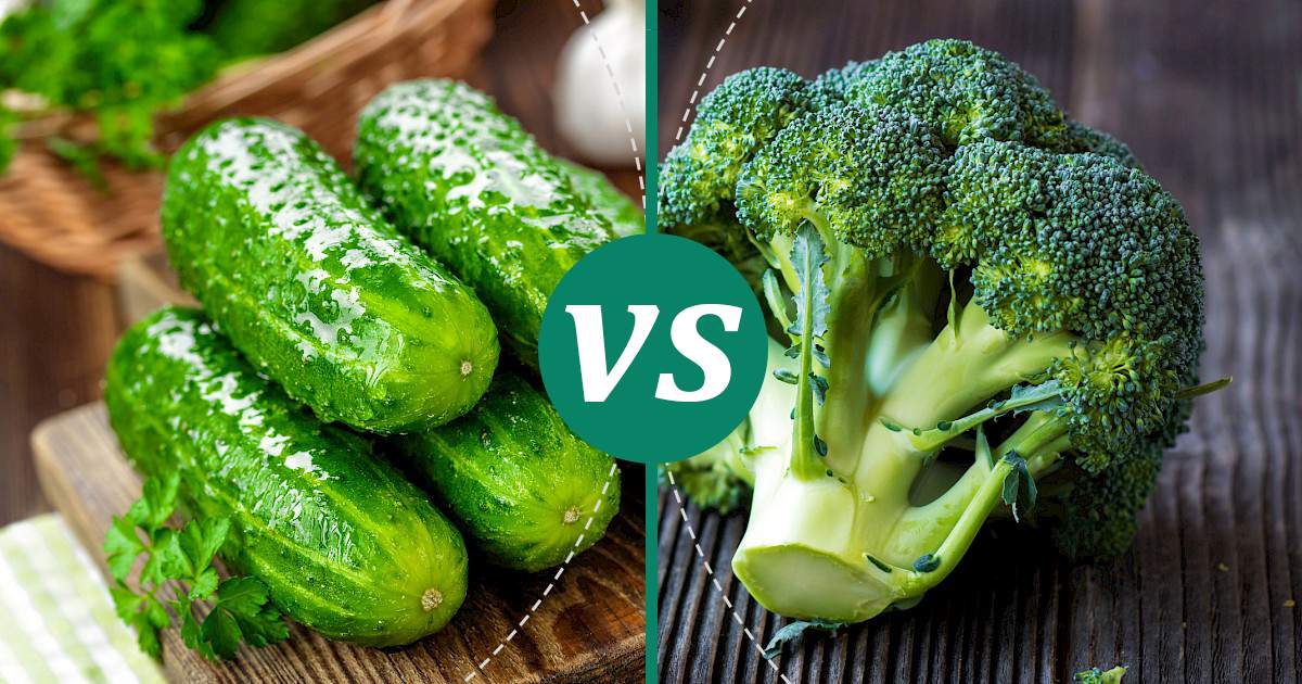 Broccoli vs Cucumber: Nutrition, Calories & Protein Compared