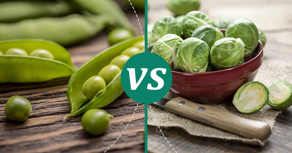 Brussels Sprouts vs Peas: Calories & Nutrition Showdown