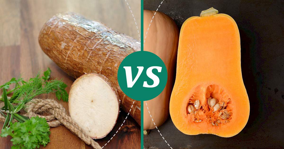Butternut Squash vs Cassava: Nutrition, Calories & Protein Compared