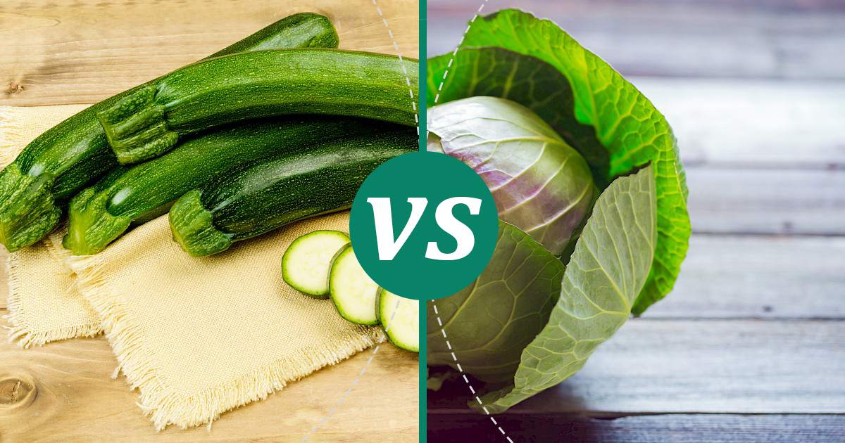 Cabbage vs Zucchini: Nutrition, Calories & Protein Compared
