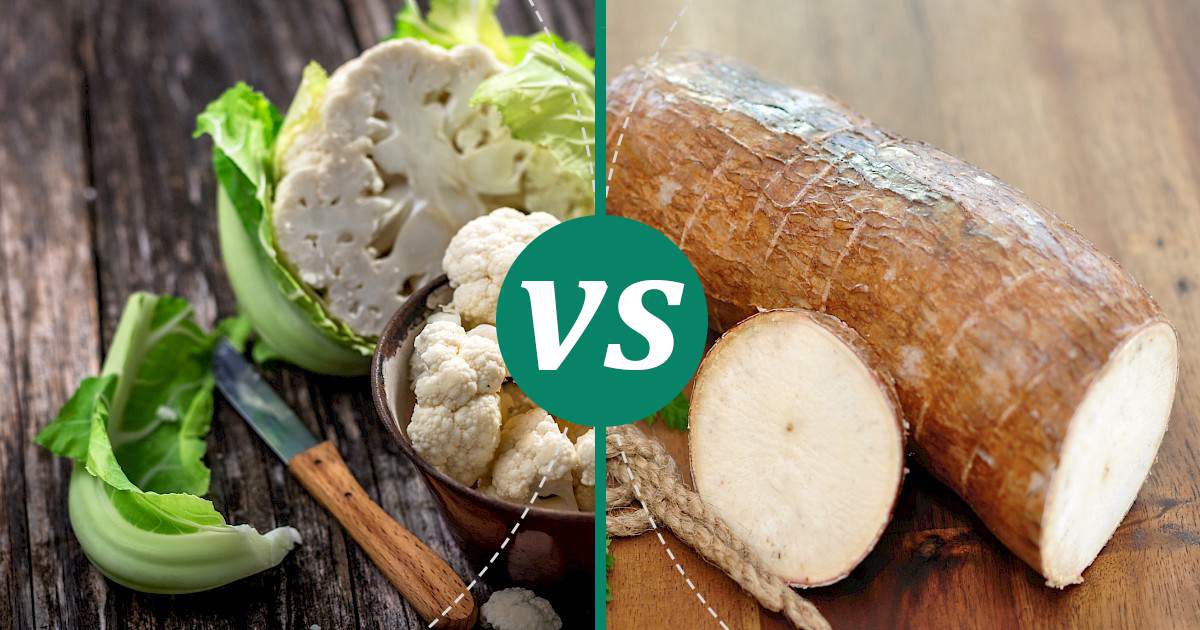 Cassava vs Cauliflower: Calories & Nutrition Showdown