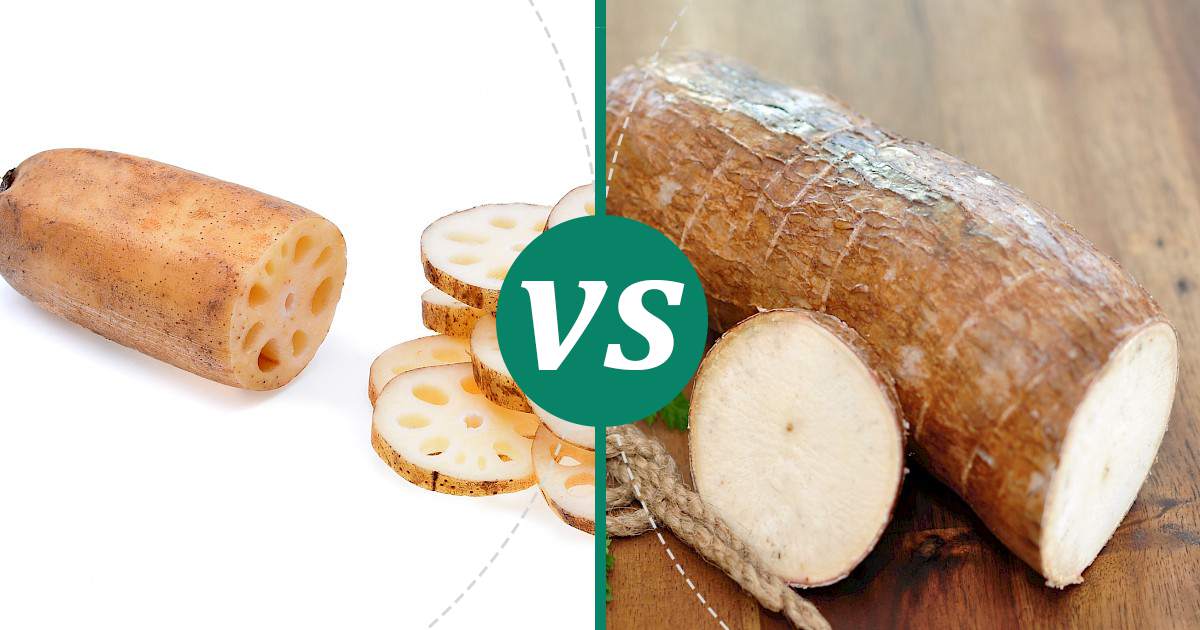 Cassava vs Lotus Root: Calories & Nutrition Showdown