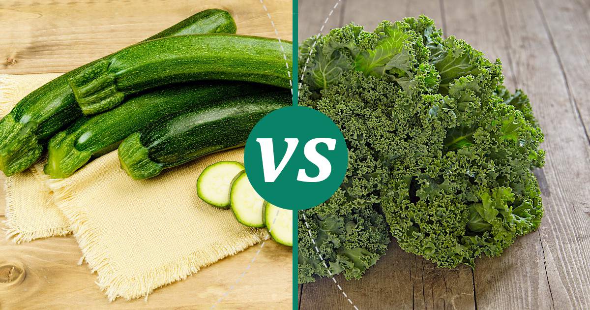 Kale vs Zucchini: Calories & Nutrition Showdown