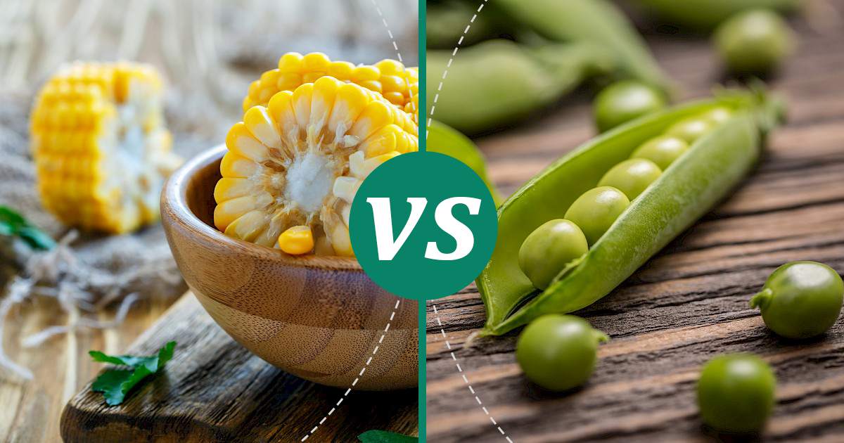 Peas vs Corn: Calories & Nutrition Showdown