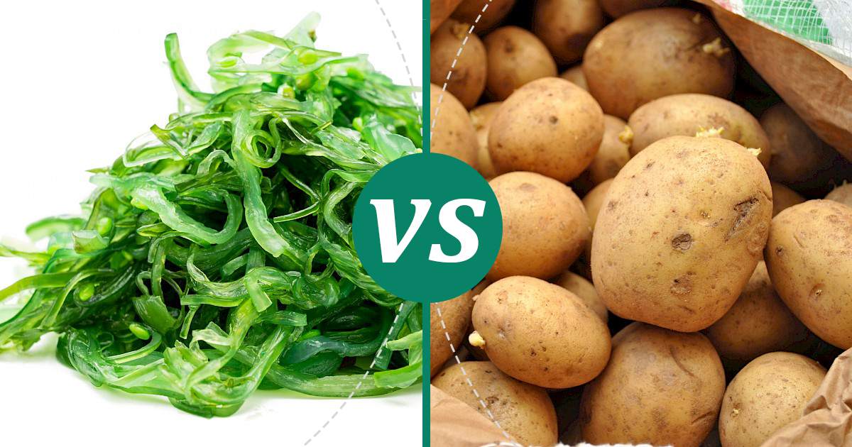 Potato vs Algae: Nutrition, Calories & Protein Compared
