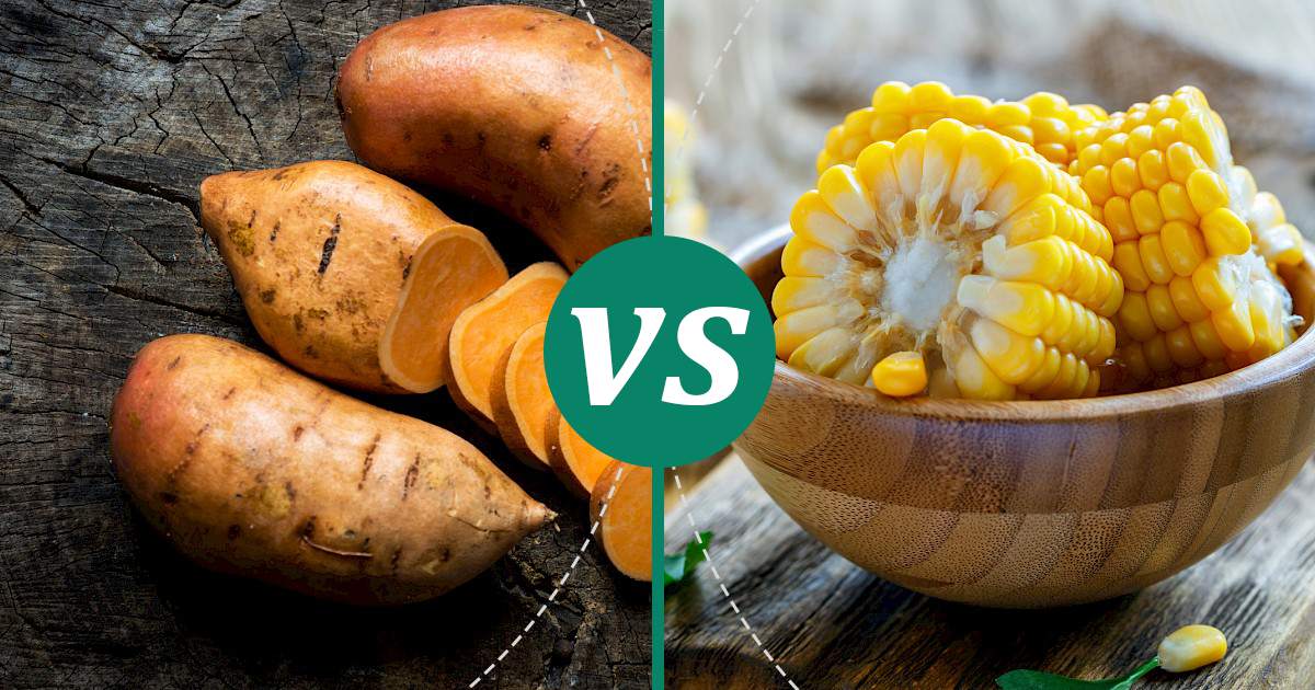Corn vs Sweet Potato: Nutrition, Calories & Protein Compared