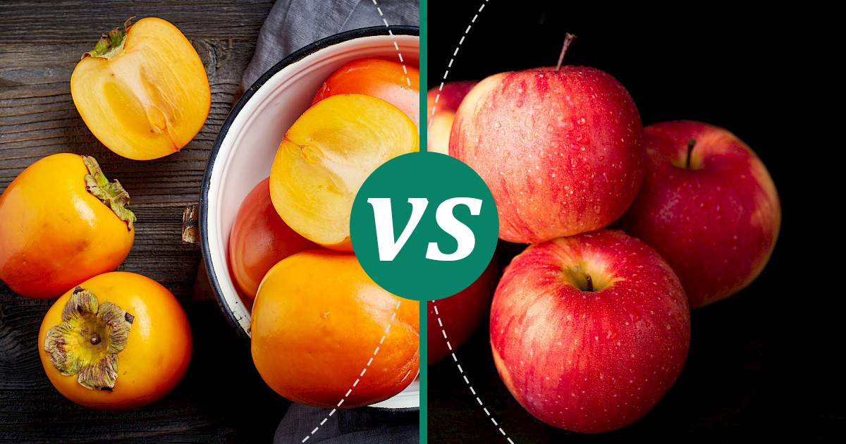 Apple vs Persimmon: Nutrition & Calories Compare
