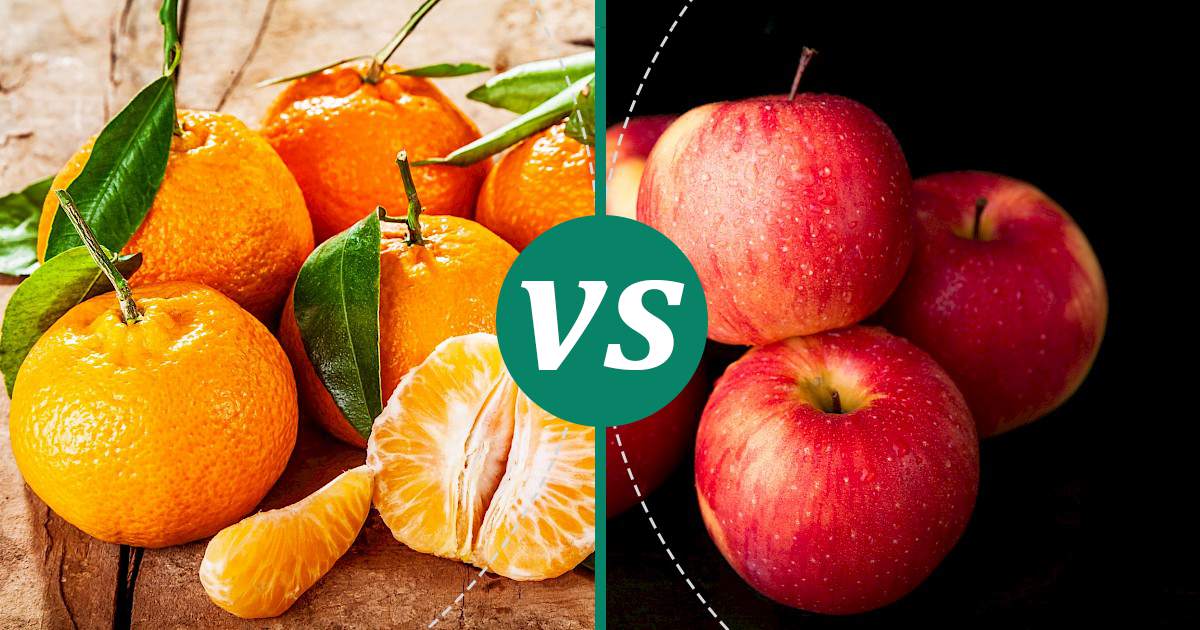 Apple vs Mandarin (Tangerine): Nutrition & Calories Compare