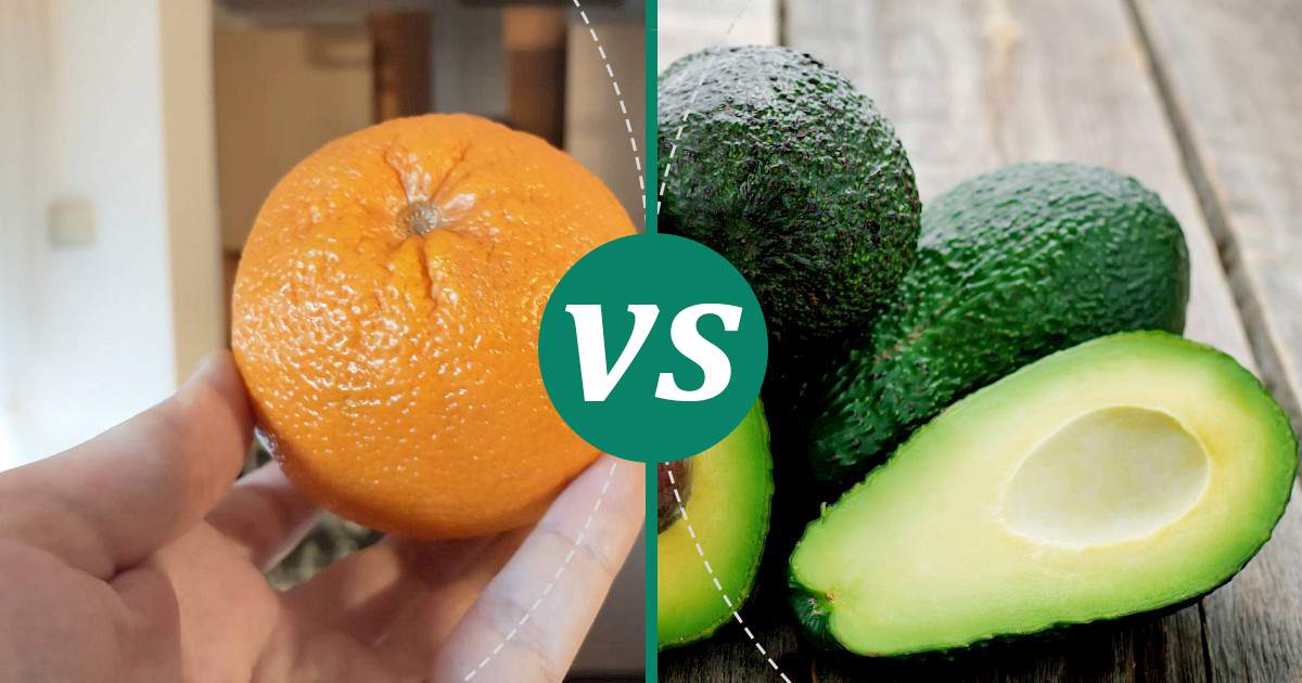 Avocado vs Orange: Nutrition & Calories Compare