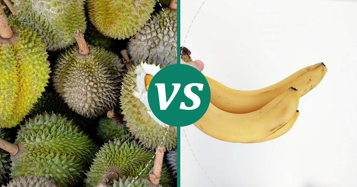 Banana vs Durian: Nutrition & Calories Compare