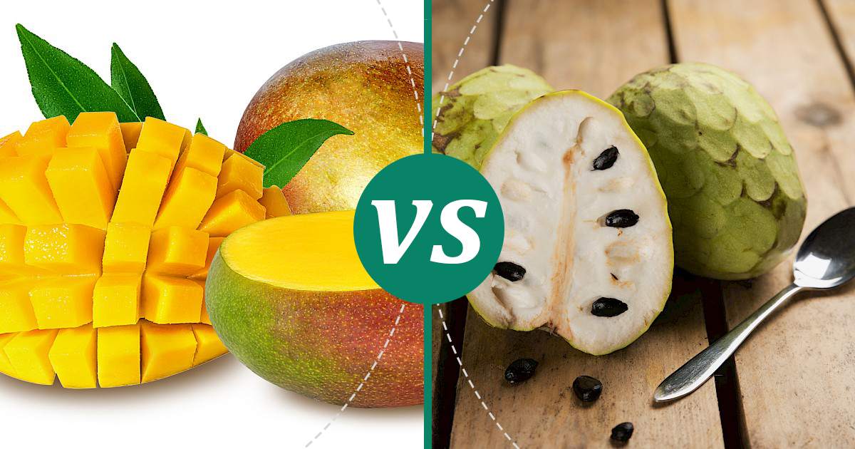 Cherimoya vs Mango: Calories & Nutrition Showdown