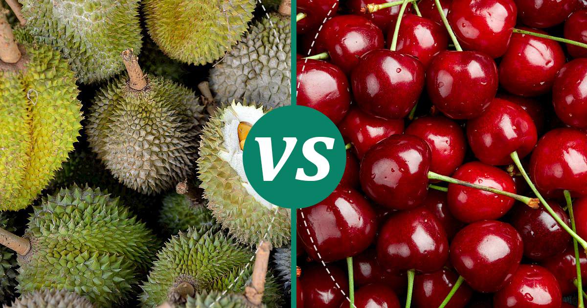 Cherries vs Durian: Nutrition & Calories Compare