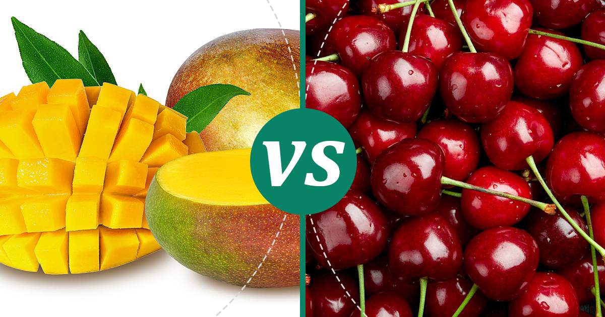 Cherries vs Mango: Nutrition & Calories Compare