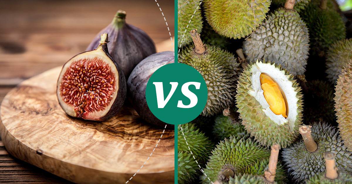 Durian vs Figs: Calories & Nutrition Showdown