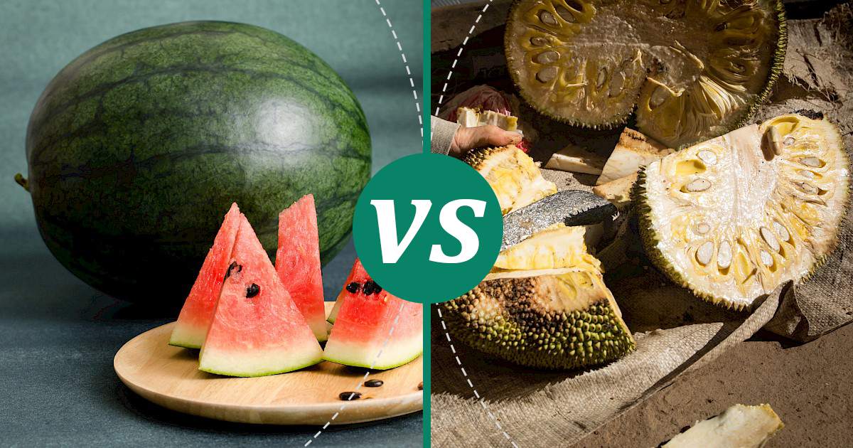 Jackfruit vs Watermelon: Nutrition, Calories & Protein Compared