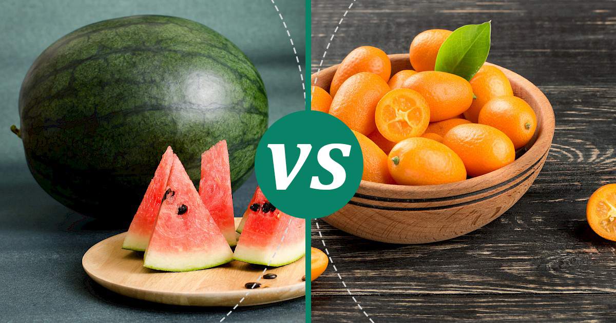 Kumquats vs Watermelon: Nutrition, Calories & Protein Compared