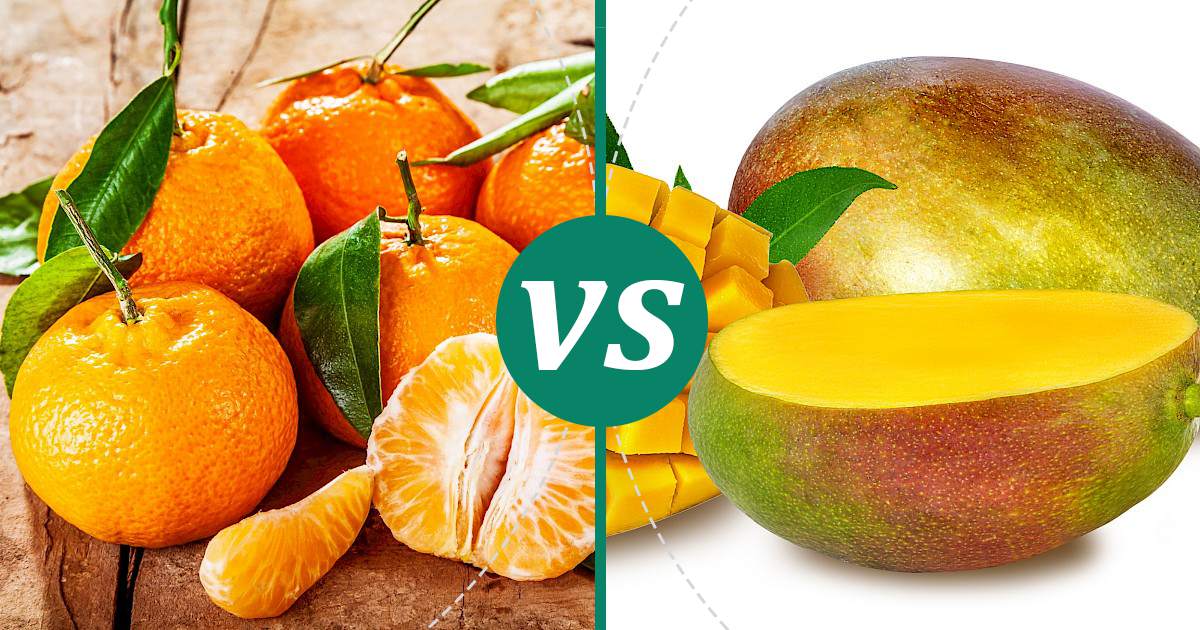 Mango vs Mandarin (Tangerine): Calories & Nutrition Showdown