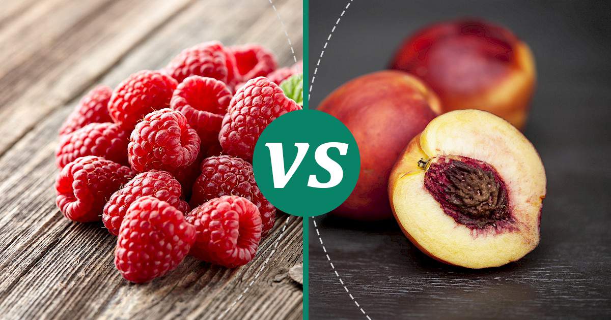 Nectarine vs Raspberry: Nutrition, Calories & Protein Compared