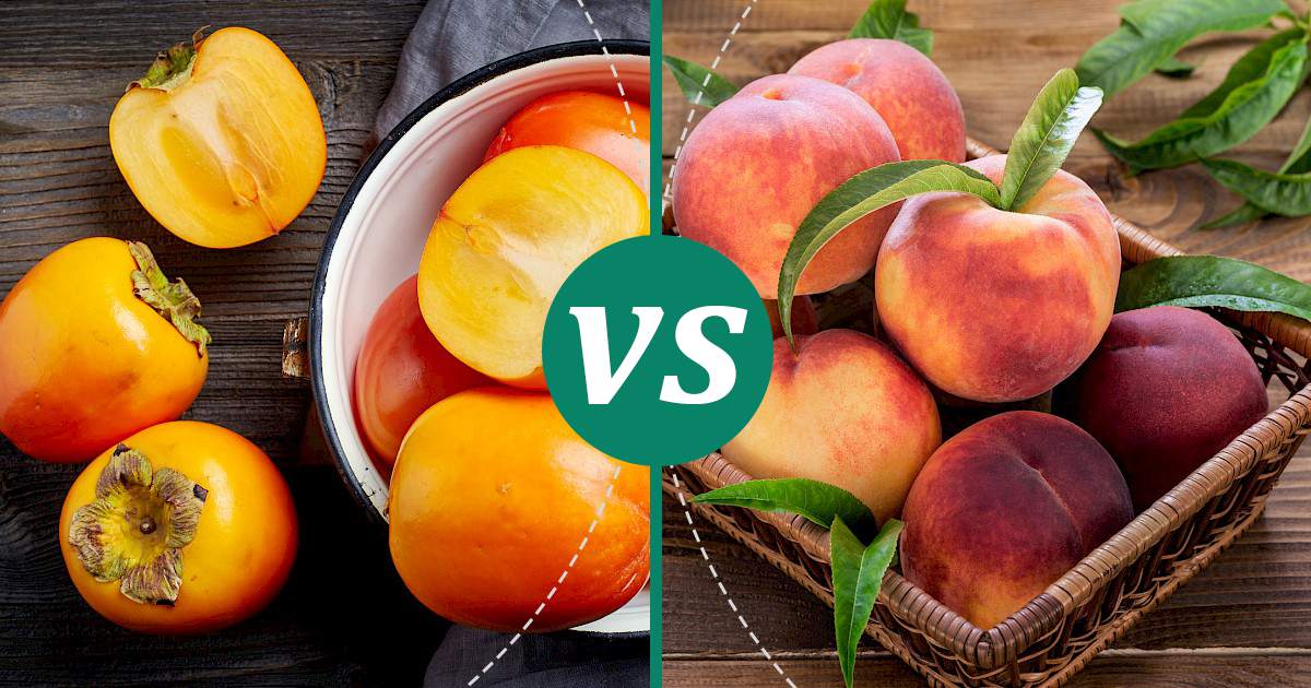 Peach vs Persimmon: Nutrition & Calories Compare