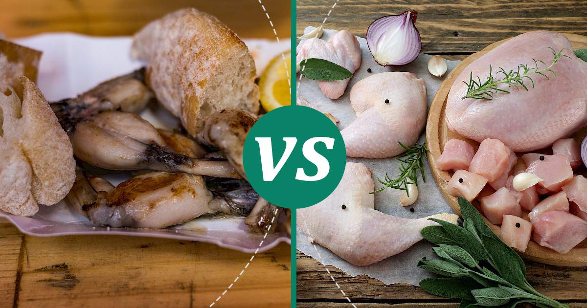 Chicken vs Frog Legs: Nutrition & Calories Compare