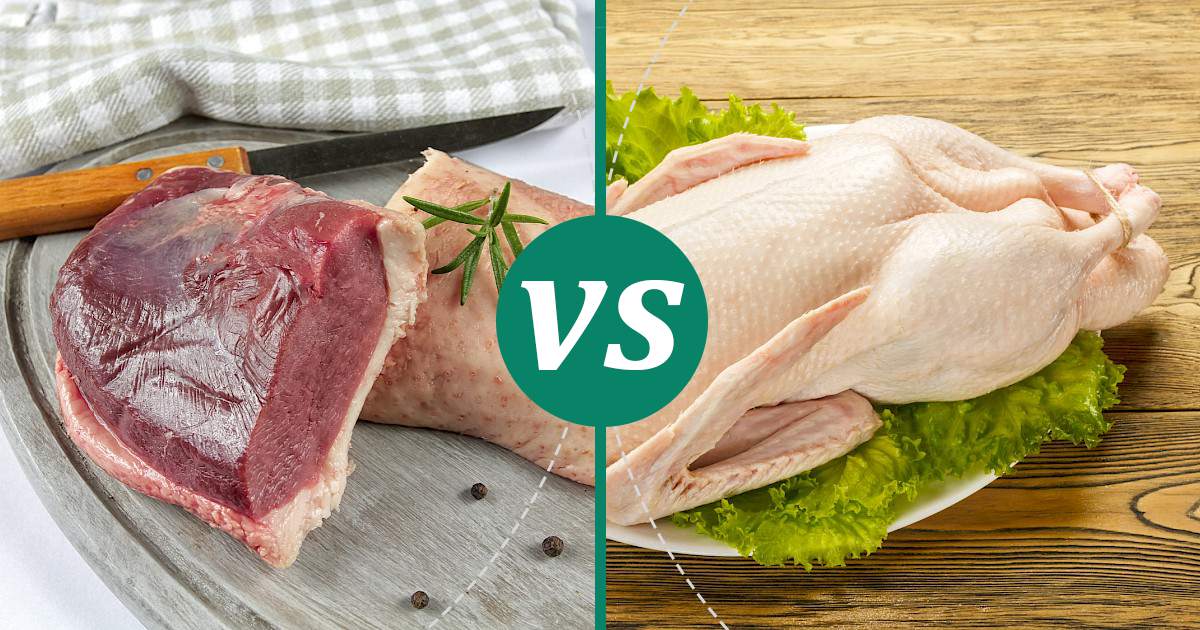 Duck Meat vs Duck Breast: Calories & Nutrition Showdown